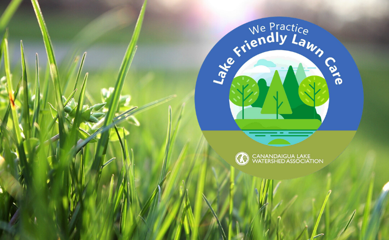 Lake Friendly Living – CLWA
