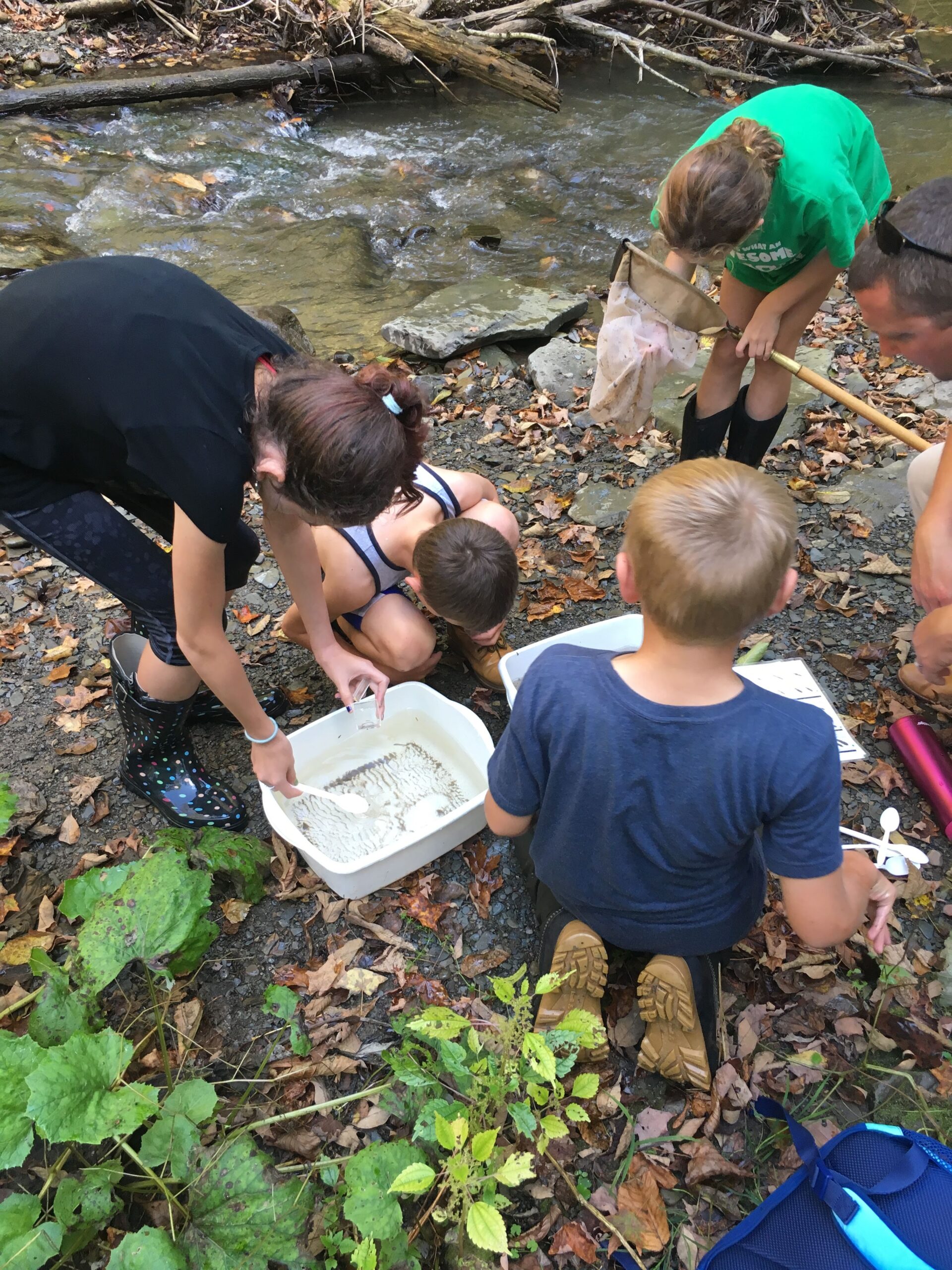 Water and Wildlife Summer Camp Recap, by Lynn Ocorr, Watershed Educator ...